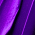 XMONDO Super Purple Color Depositing Mask | Sally Beauty
