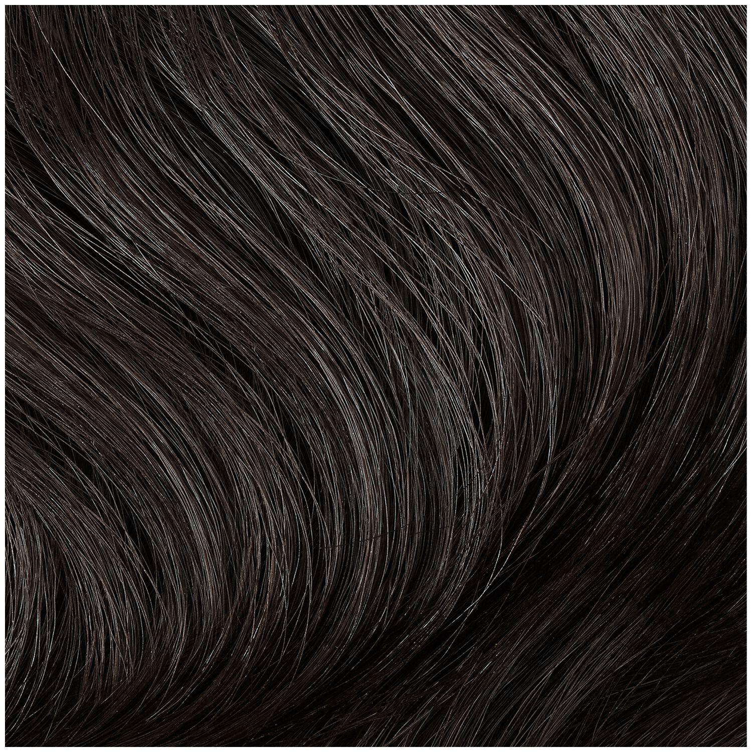 Clairol Professional 5NN Lightest Rich Neutral Brown LiquiColor ...