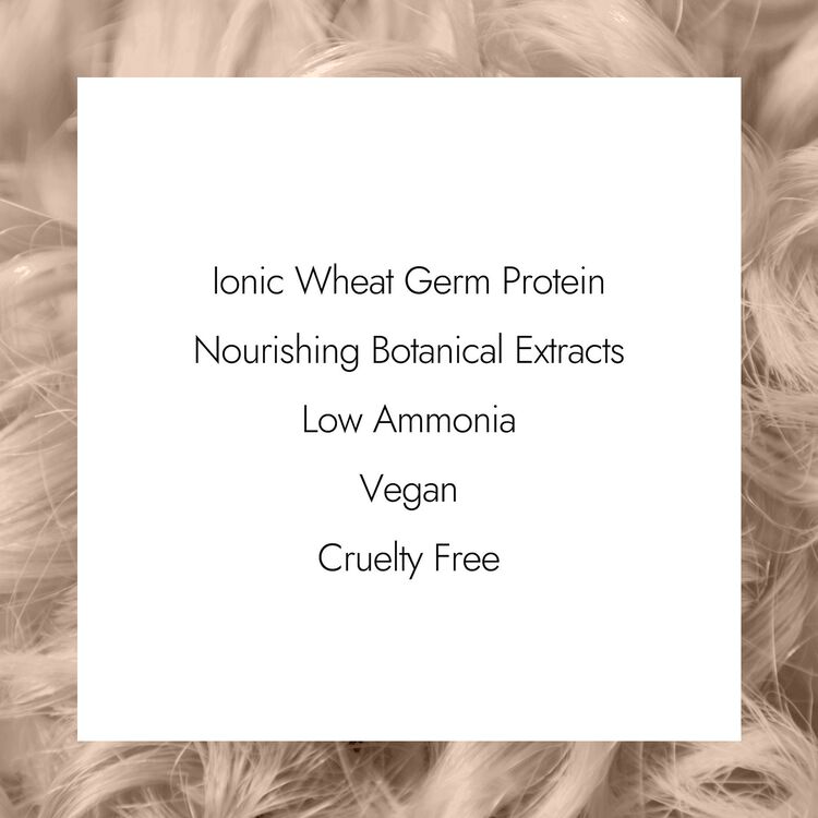 14B HL-B Extreme Hi Lift Ash Blonde Permanent Creme Hair Color by Color ...