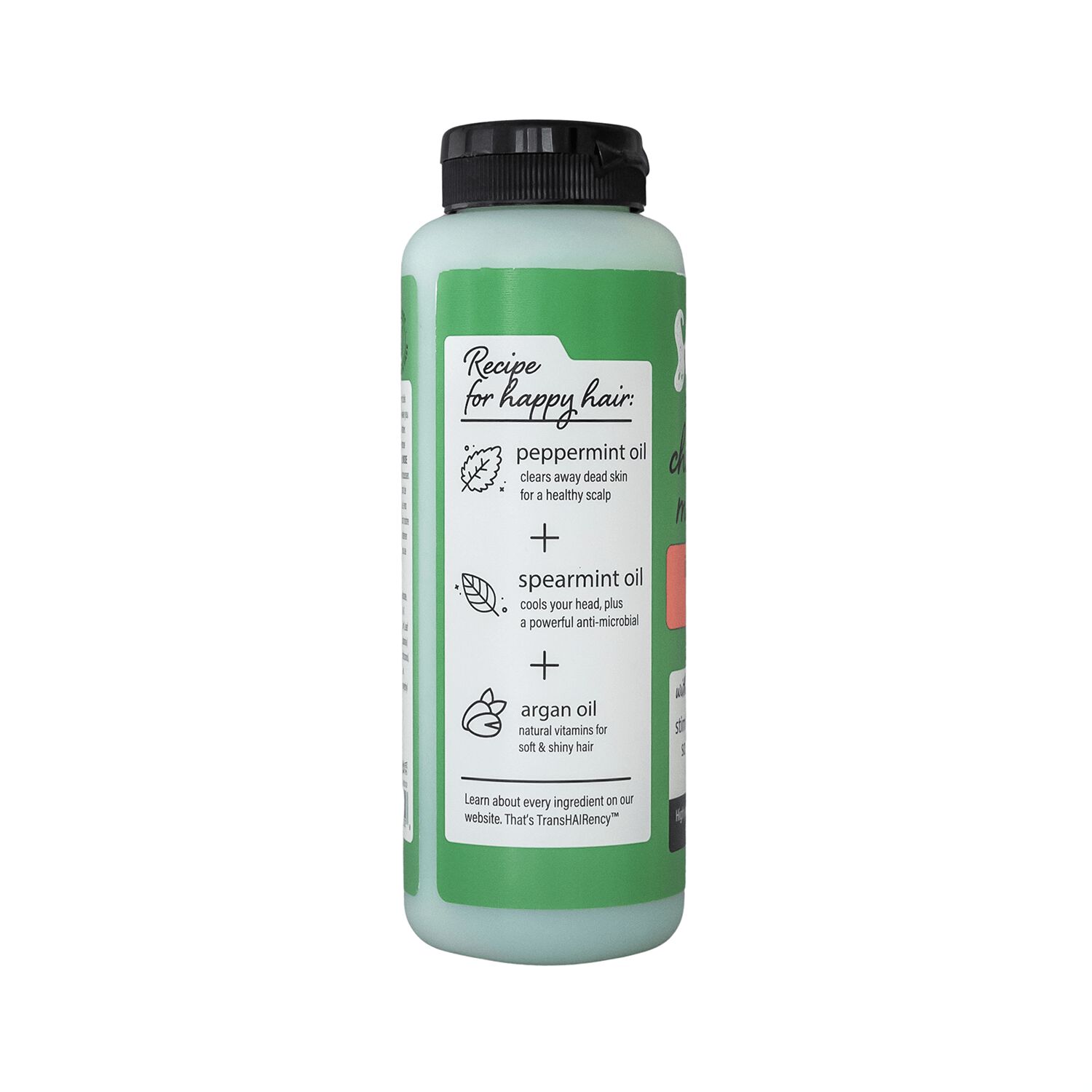 Chimichurri Mint Tingle Intense Repair Shampoo by Sauce Beauty ...