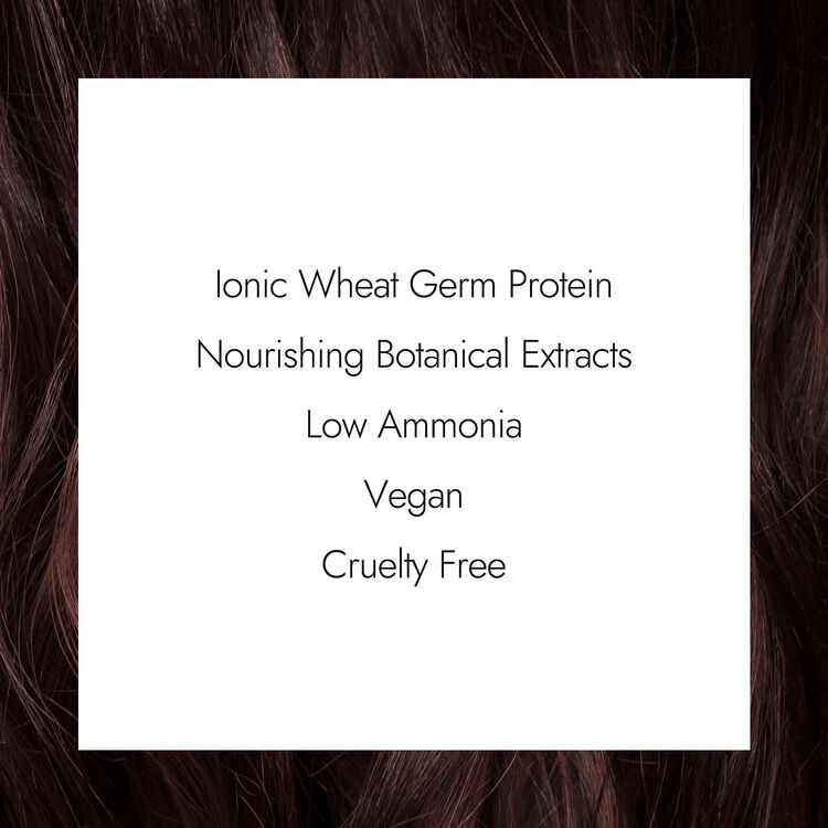 Ion 3RV Dark Burgundy Brown Permanent Creme Hair Color by Color ...