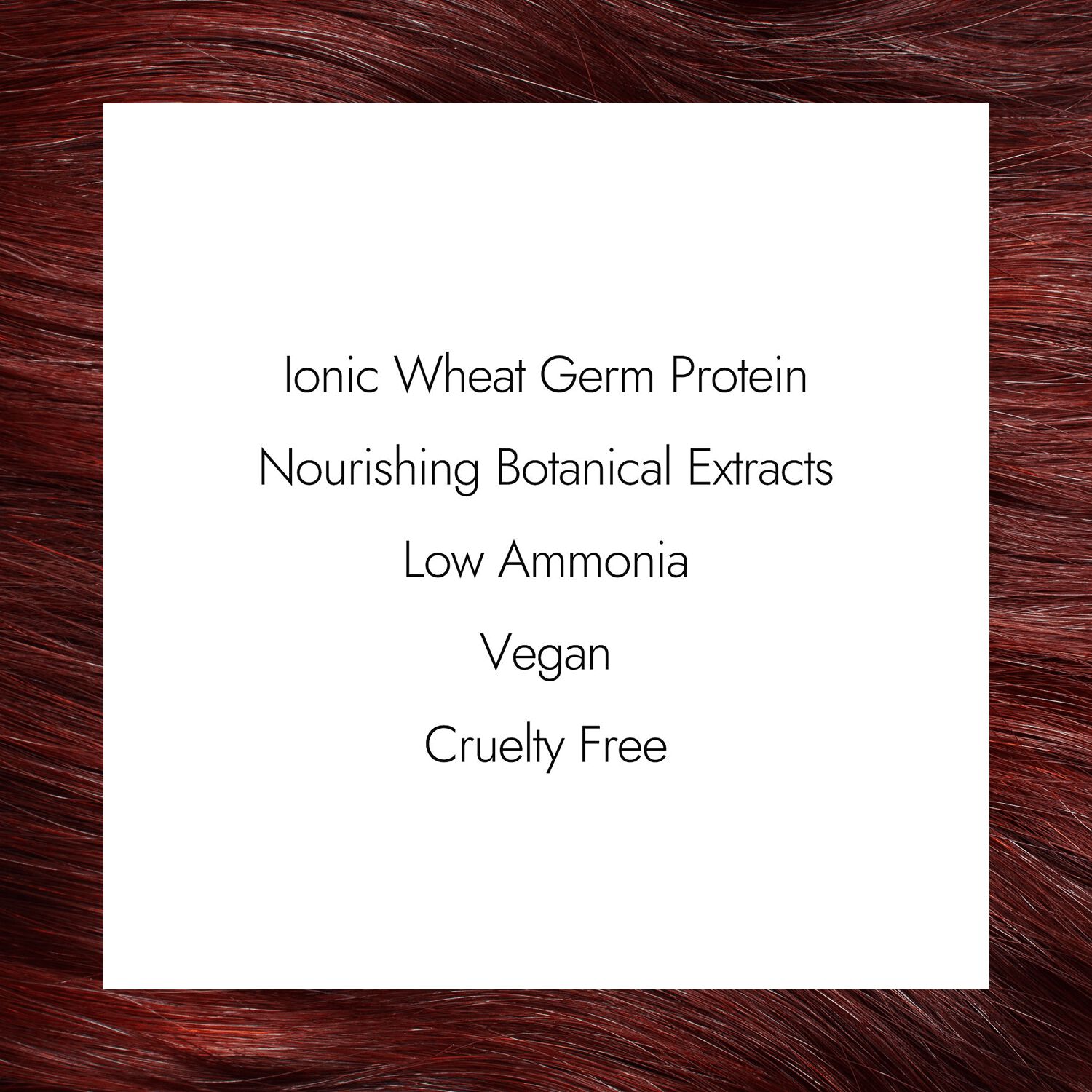 Ion 5RV Light Burgundy Brown Permanent Creme Hair Color by Color ...