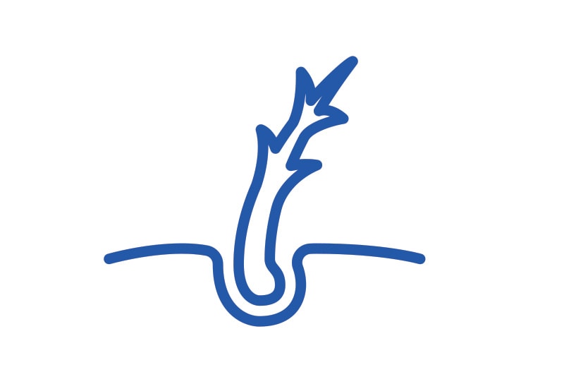 Testing Your Hair Porosity: What is High vs Low Porosity?